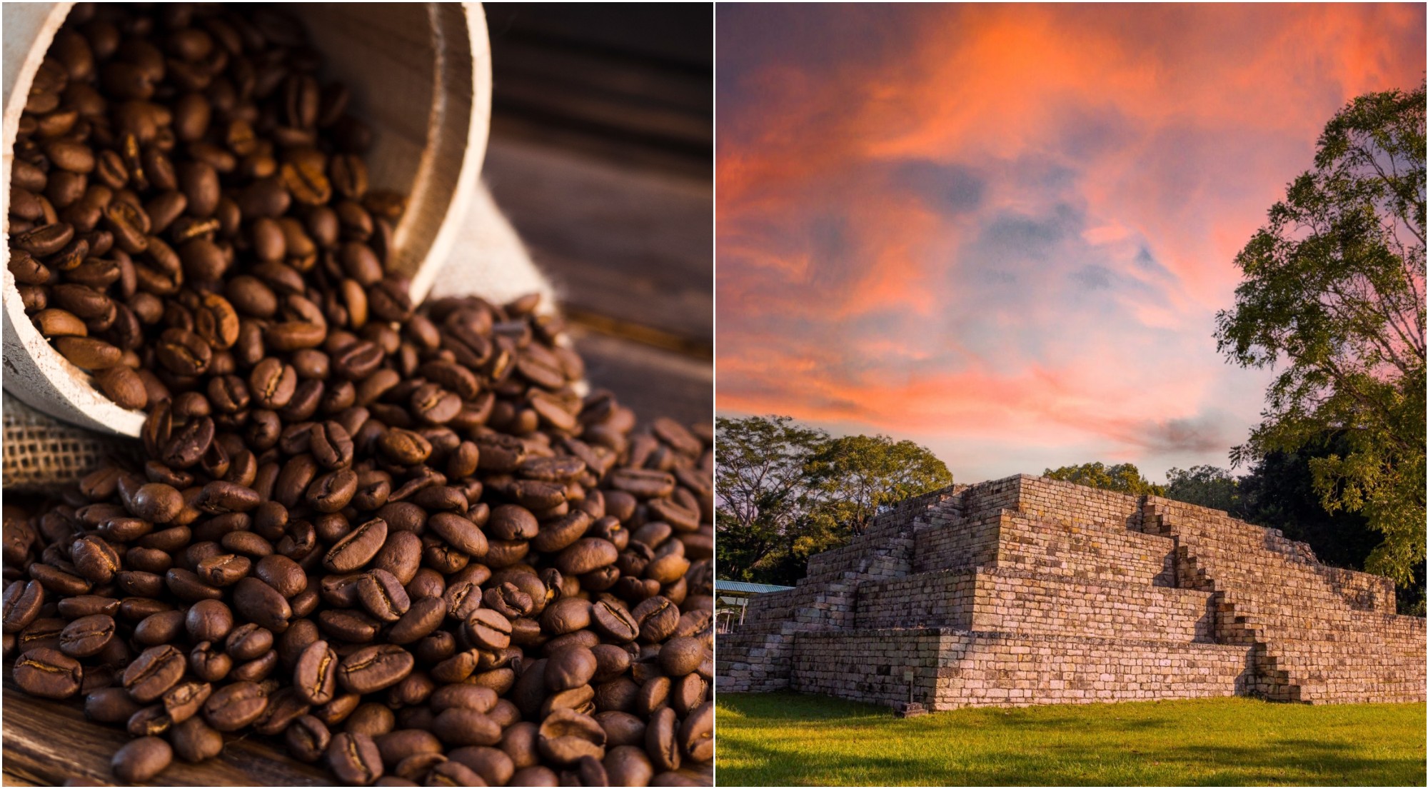 Copán Ruinas será sede del evento internacional Let’s Talk Coffee - UNE ...